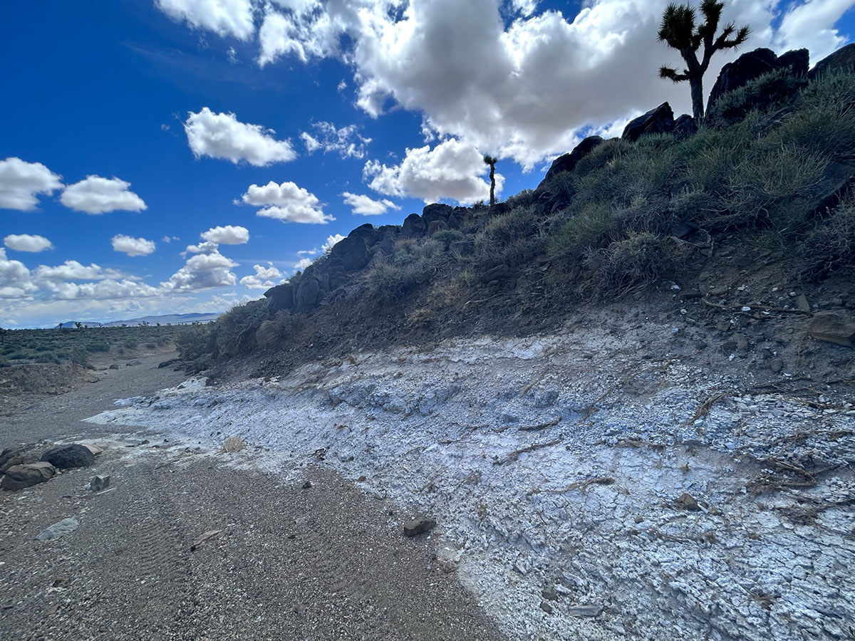 Libra Project - eLife Minerals Corp.